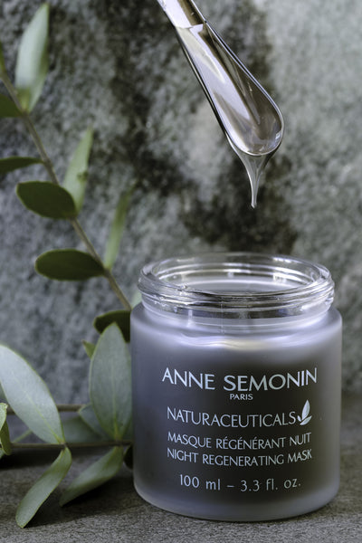THE ULTIMATE ANNE SEMONIN BEAUTY RITUAL TO PROTECT YOUR SKIN AGAINST E ...